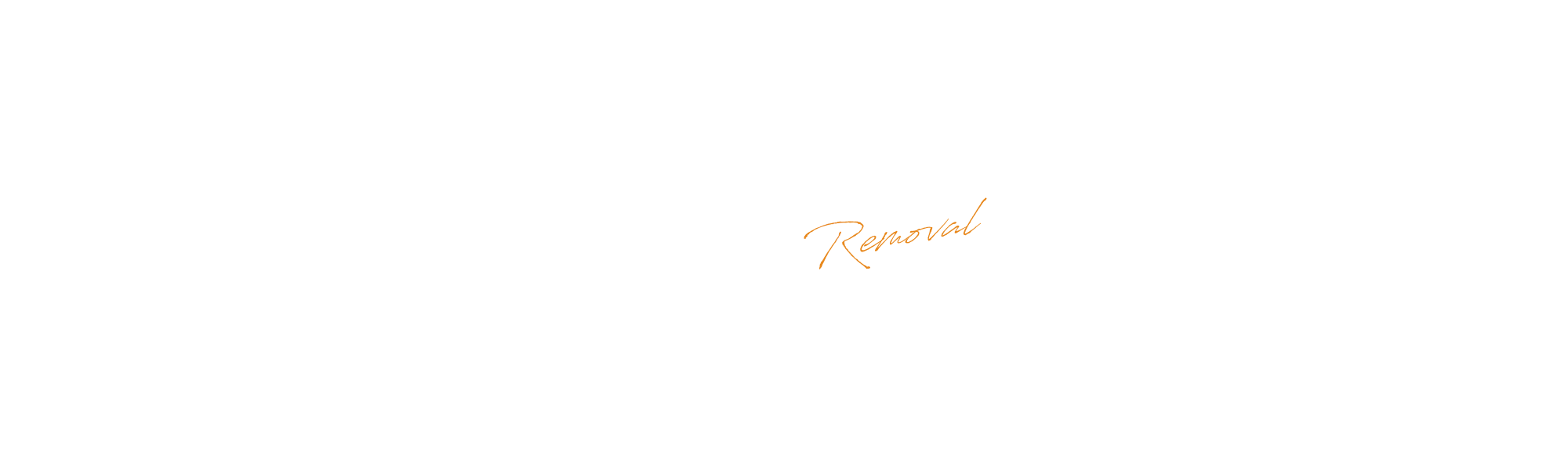 除排雪 | 株式会社Climb-Tec